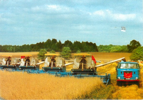 Pin auf DDR in Color